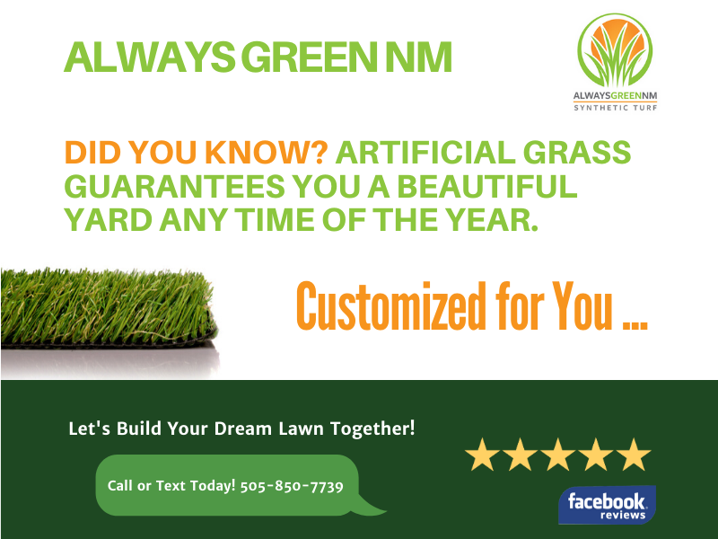 Always Green - Artificial Turf, Albuquerque, NM